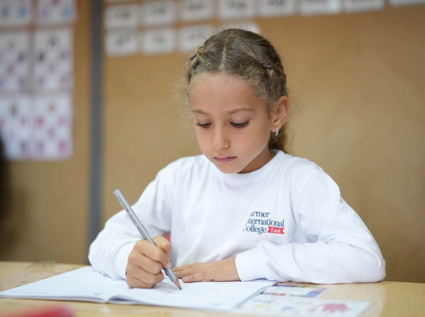 Home | Narmer School