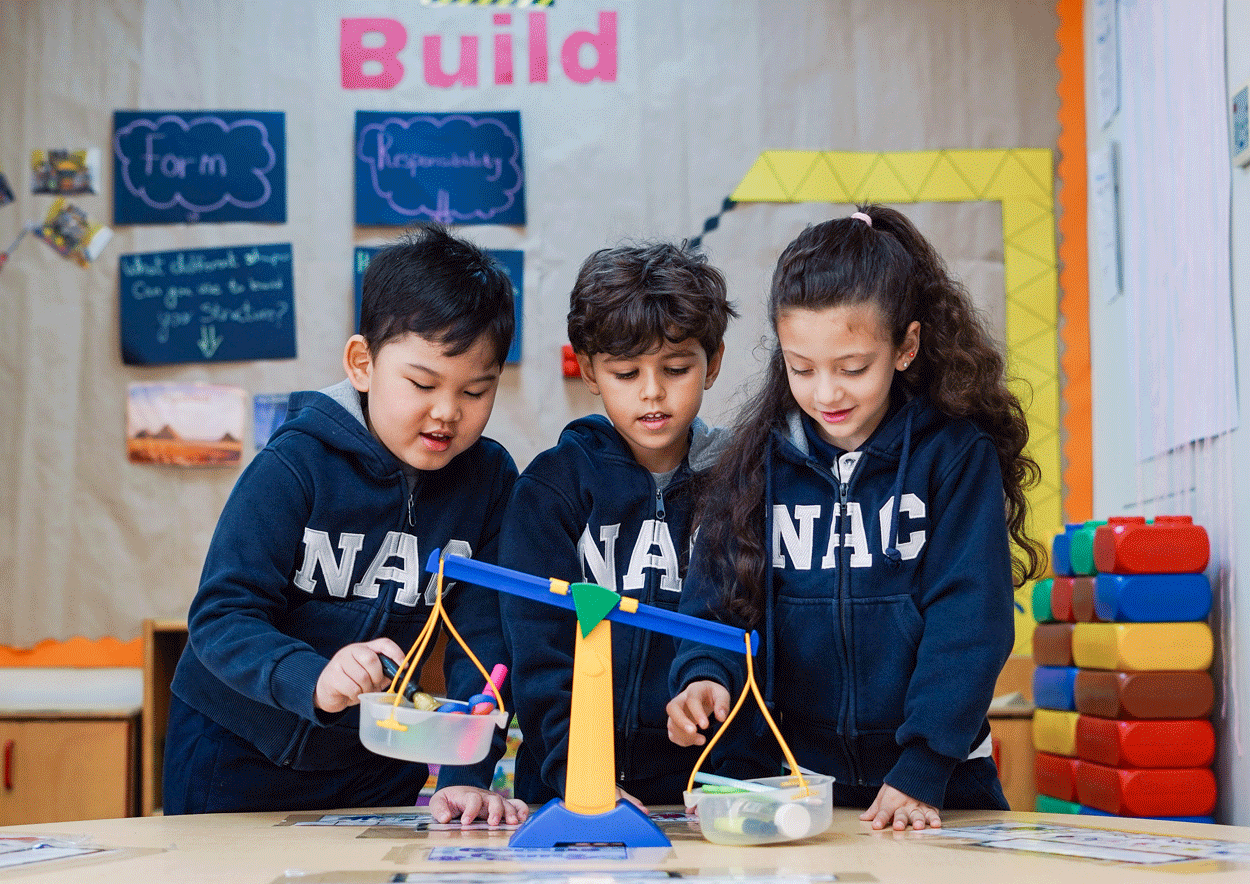 British Program | Narmer International College